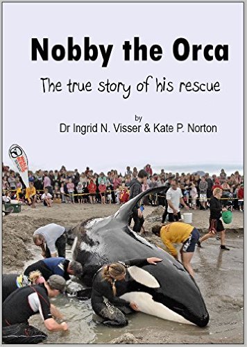 Nobby the Orca by Dr. Ingrid Visser & Kate Norton – EcoJoia